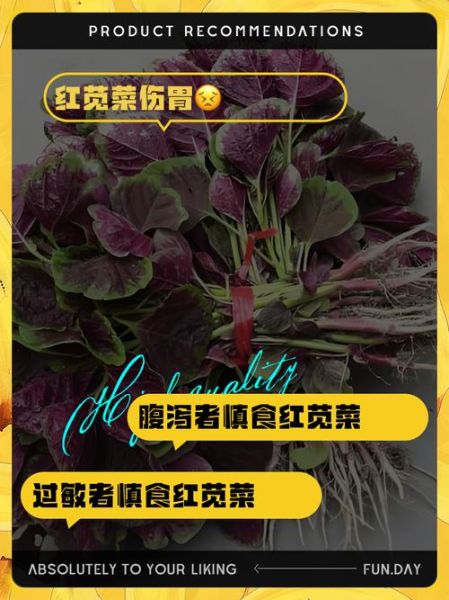 红苋菜什么人不能吃_红苋菜禁忌有哪些-第2张图片-山城妙识