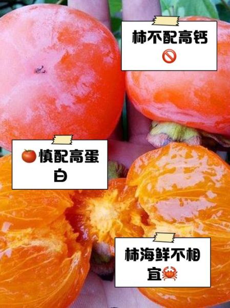 吃了柿子不能吃什么东西_柿子与哪些食物相克-第3张图片-山城妙识