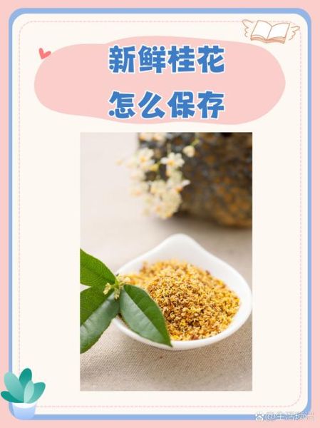 新鲜桂花怎么制作_新鲜桂花怎么保存-第1张图片-山城妙识 新鲜桂花怎么制作_新鲜桂花怎么保存-第1张图片-山城妙识