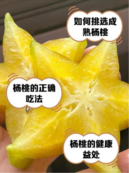 阳桃的功效与作用_阳桃怎么吃最健康-第2张图片-山城妙识