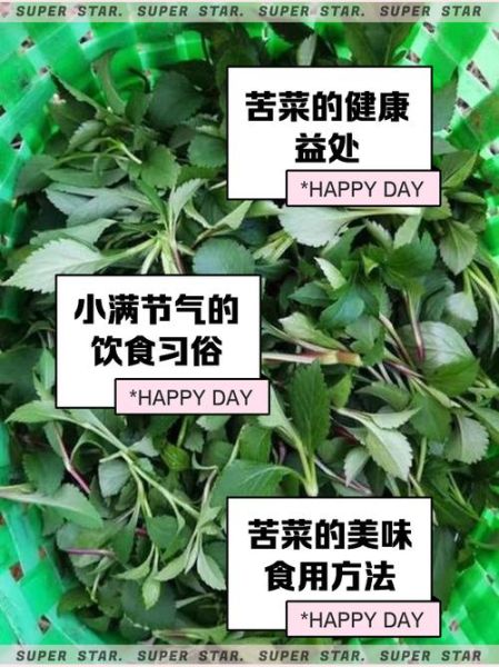 苦菜怎么做好吃_苦菜的做法大全-第1张图片-山城妙识
