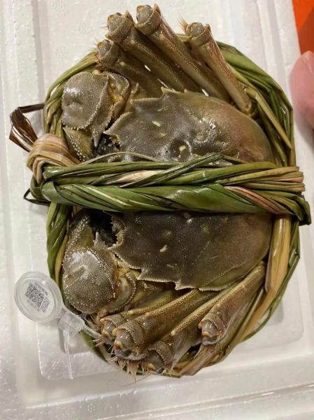 今年大闸蟹多少钱一斤_阳澄湖大闸蟹价格行情-第3张图片-山城妙识