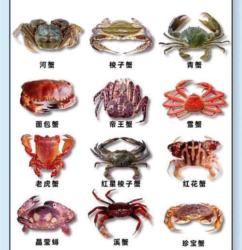 海螃蟹怎么吃图解_海螃蟹哪些部位不能吃-第2张图片-山城妙识 海螃蟹怎么吃图解_海螃蟹哪些部位不能吃-第2张图片-山城妙识