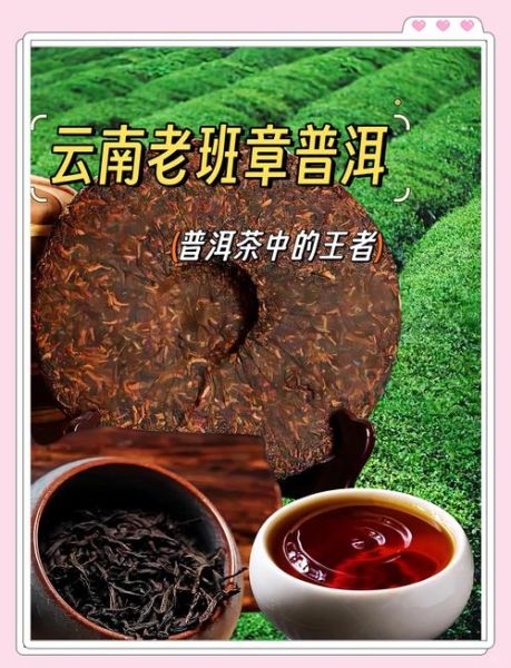 老班章普洱茶多少钱一斤_老班章普洱茶怎么泡-第1张图片-山城妙识