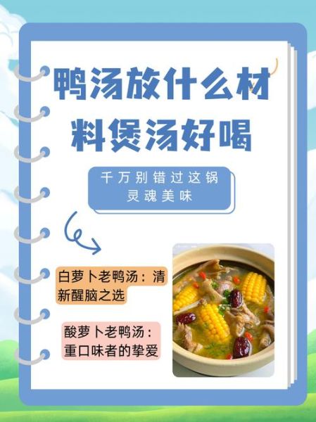 酸萝卜老鸭汤忌放什么_哪些调料不能放-第3张图片-山城妙识