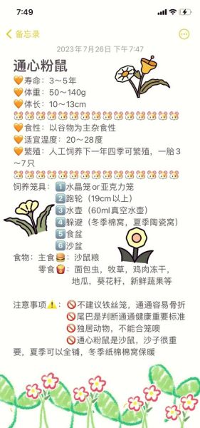 通心粉鼠好养吗_通心粉鼠饲养注意事项-第1张图片-山城妙识