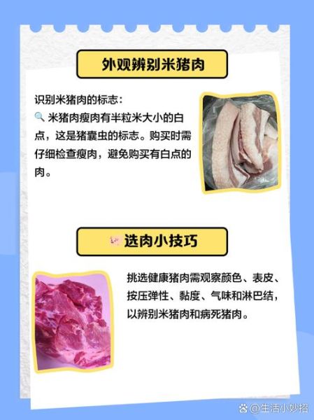 米猪肉和脂肪粒怎么区分_米猪肉与脂肪粒的区别-第3张图片-山城妙识