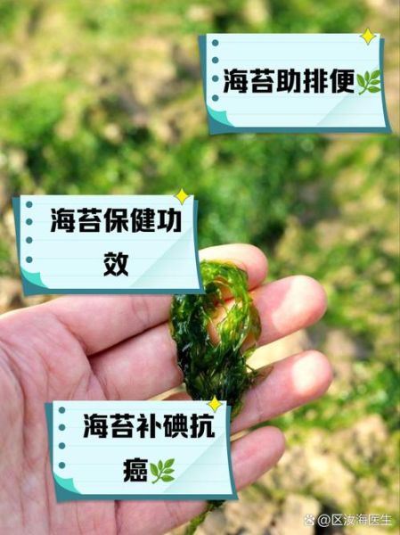 海苔的营养价值有哪些_海苔的功效与作用-第1张图片-山城妙识 海苔的营养价值有哪些_海苔的功效与作用-第1张图片-山城妙识