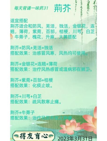 荆芥能治疗感冒吗_荆芥的功效与作用-第2张图片-山城妙识