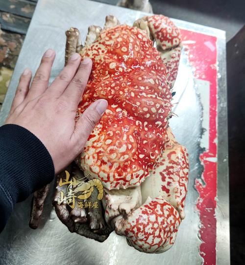 帝王蟹一般多少斤_一只帝王蟹多重-第3张图片-山城妙识