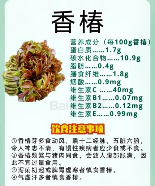 香椿的副作用有哪些_香椿吃多了有什么危害-第1张图片-山城妙识 香椿的副作用有哪些_香椿吃多了有什么危害-第1张图片-山城妙识