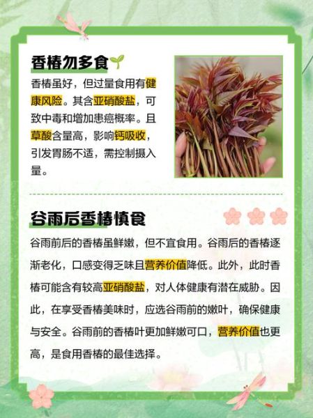 香椿的副作用有哪些_香椿吃多了有什么危害-第2张图片-山城妙识 香椿的副作用有哪些_香椿吃多了有什么危害-第2张图片-山城妙识