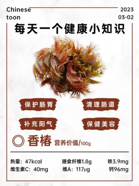 香椿的副作用有哪些_香椿吃多了有什么危害-第3张图片-山城妙识 香椿的副作用有哪些_香椿吃多了有什么危害-第3张图片-山城妙识