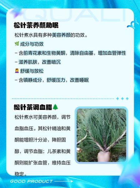 松针煮水的功效与作用_松针煮水能天天喝吗-第1张图片-山城妙识
