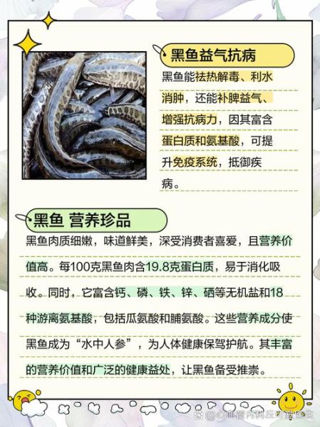 黑鱼为什么通灵性_民间说法科学依据-第2张图片-山城妙识