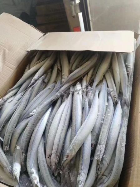 马步鱼的营养价值及功效_马步鱼怎么吃最营养-第1张图片-山城妙识