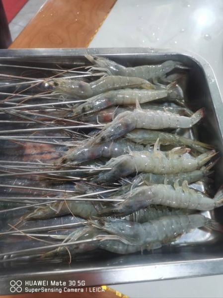 青虾图片大全大图片_高清青虾实拍图怎么拍-第1张图片-山城妙识 青虾图片大全大图片_高清青虾实拍图怎么拍-第1张图片-山城妙识