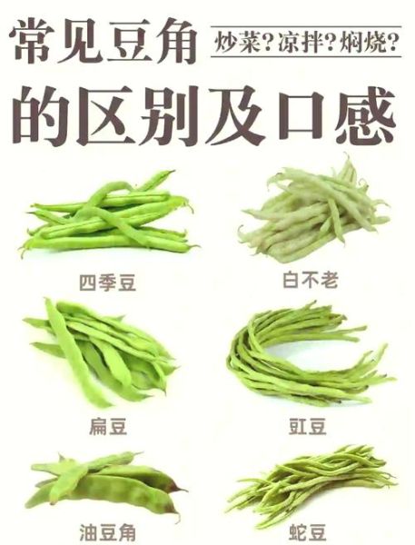 豇豆长什么样_豇豆和四季豆区别-第1张图片-山城妙识