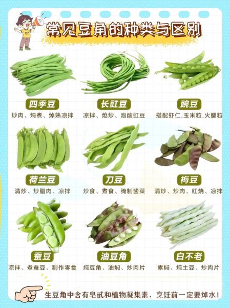 豇豆长什么样_豇豆和四季豆区别-第2张图片-山城妙识