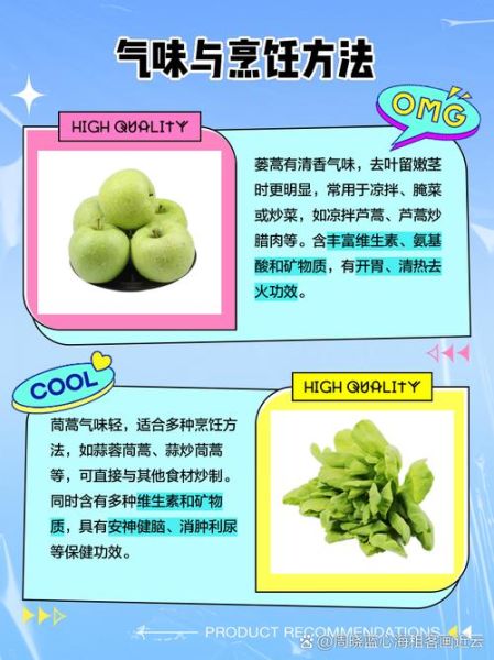 蓬蒿怎么读拼音_蓬蒿和茼蒿的区别-第3张图片-山城妙识