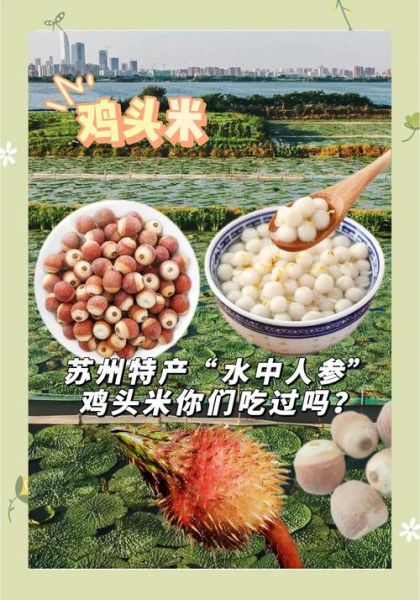 鸡头米多少钱一斤_鸡头米怎么做好吃-第2张图片-山城妙识