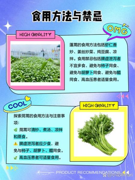 蓬蒿怎么读拼音_蓬蒿和茼蒿的区别-第2张图片-山城妙识