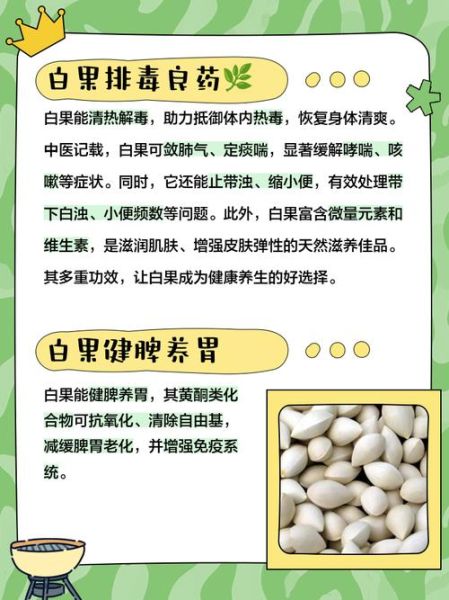 白果是什么东西_白果的功效与作用-第1张图片-山城妙识 白果是什么东西_白果的功效与作用-第1张图片-山城妙识