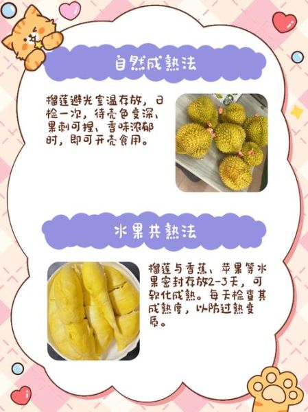 榴莲不熟要怎么放才能熟_榴莲放几天能熟-第3张图片-山城妙识 榴莲不熟要怎么放才能熟_榴莲放几天能熟-第3张图片-山城妙识