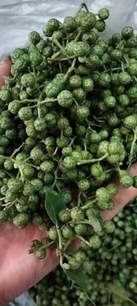 青花椒多少钱一斤_2024最新价格行情-第3张图片-山城妙识