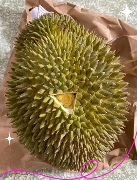 榴莲不熟要怎么放才能熟_榴莲放几天能熟-第1张图片-山城妙识 榴莲不熟要怎么放才能熟_榴莲放几天能熟-第1张图片-山城妙识