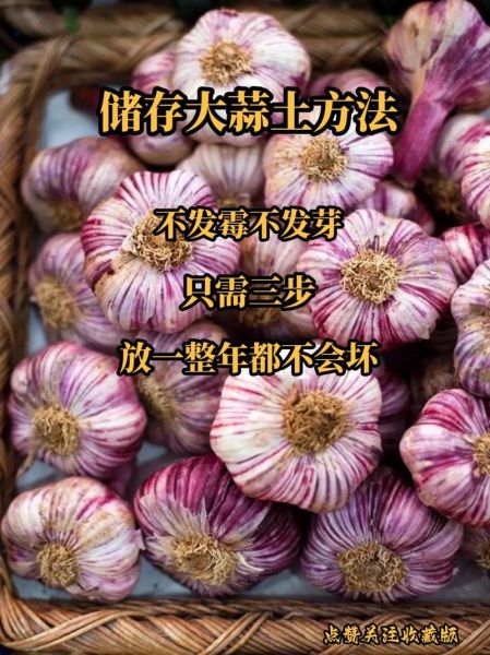 大蒜头怎么放不发芽_大蒜头保存不发芽的方法-第2张图片-山城妙识
