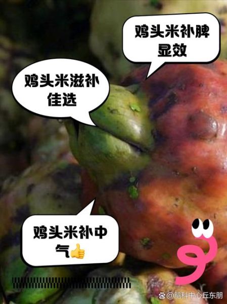 吃鸡头米的禁忌有哪些_哪些人不能吃-第3张图片-山城妙识