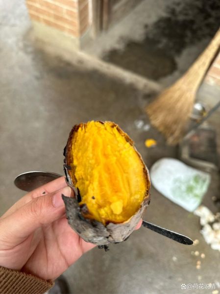 哪里卖烤红薯最赚钱_学校门口还是地铁口-第3张图片-山城妙识 哪里卖烤红薯最赚钱_学校门口还是地铁口-第3张图片-山城妙识