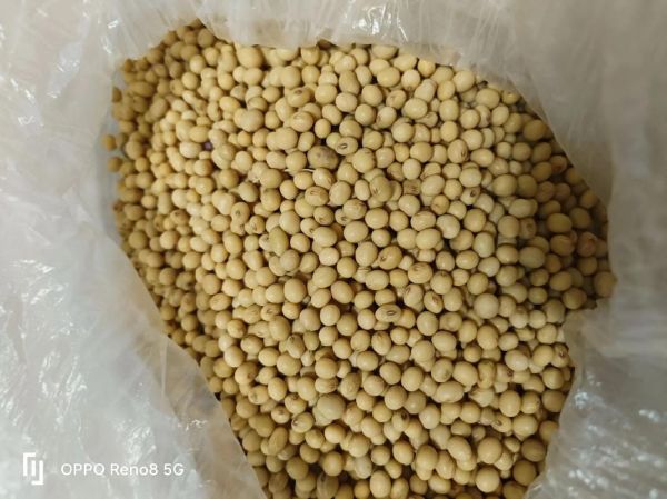 点豆腐的卤水是什么成分_卤水点豆腐安全吗-第1张图片-山城妙识