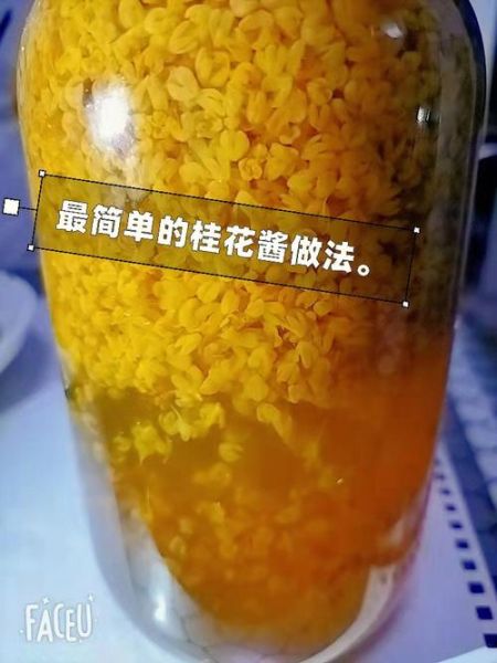 桂花怎么保存_桂花酱的做法-第1张图片-山城妙识