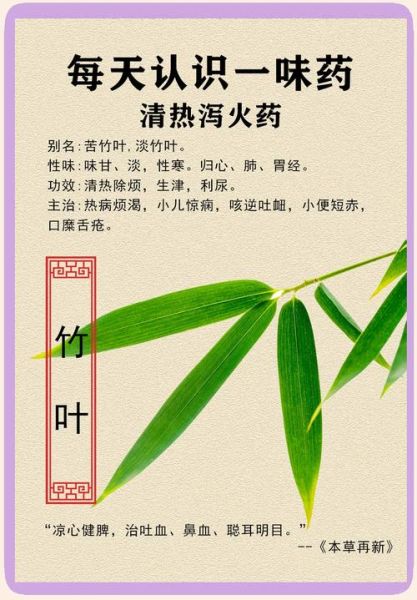 竹叶能直接泡水喝吗_竹叶泡水功效与禁忌-第3张图片-山城妙识
