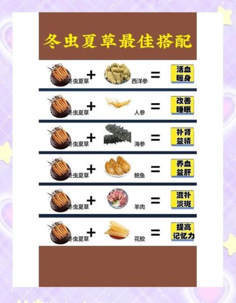 冬虫夏草煲汤方法_冬虫夏草煲汤放什么材料-第2张图片-山城妙识