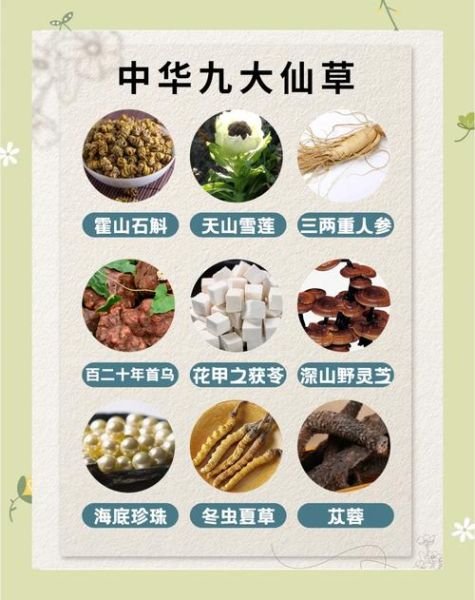 仙草是什么植物_仙草的功效与作用-第1张图片-山城妙识