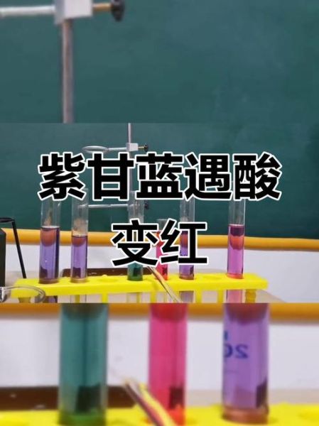 紫甘蓝变色实验原理_怎么做紫甘蓝变色实验-第2张图片-山城妙识