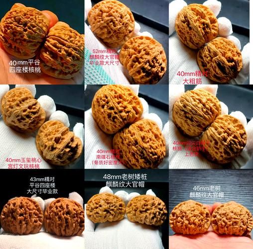 东北山核桃多少钱一斤_东北山核桃怎么挑选-第2张图片-山城妙识