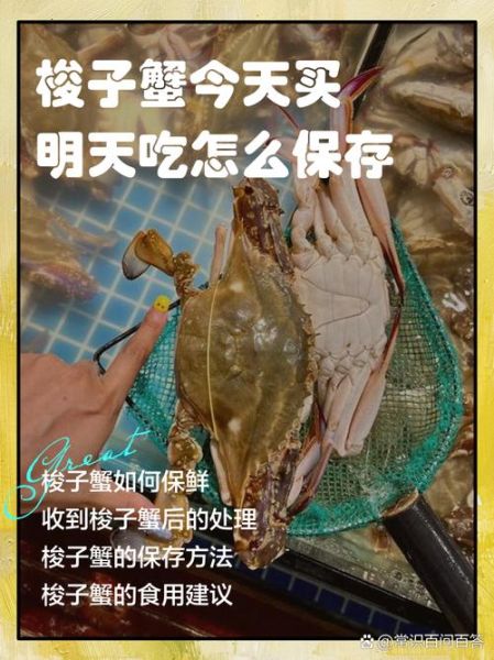 新鲜梭子蟹怎么保存_梭子蟹冷藏还是冷冻-第1张图片-山城妙识
