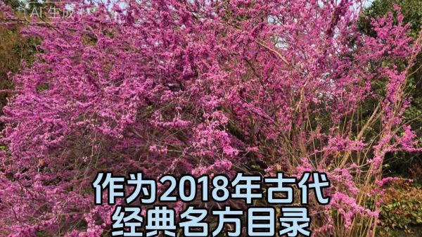 桂枝芍药知母汤的功效与作用_桂枝芍药知母汤适合什么人-第2张图片-山城妙识