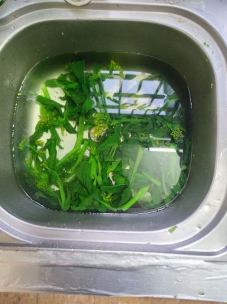 广东蒜蓉菜心怎么做_蒜蓉菜心焯水多久-第3张图片-山城妙识