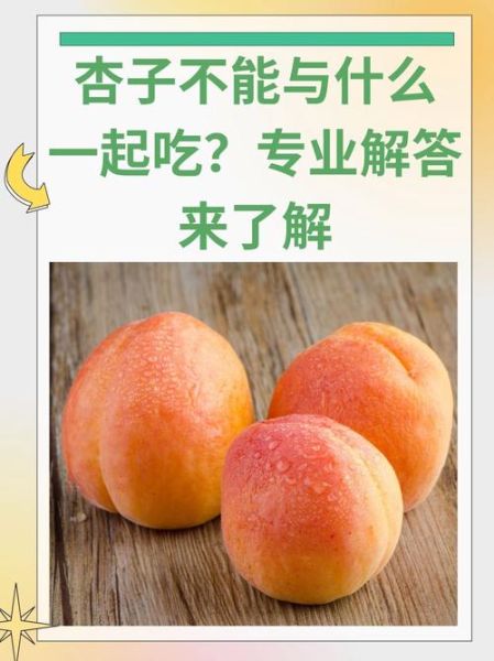 杏子吃多了会怎样_杏子吃多了有什么副作用-第1张图片-山城妙识 杏子吃多了会怎样_杏子吃多了有什么副作用-第1张图片-山城妙识