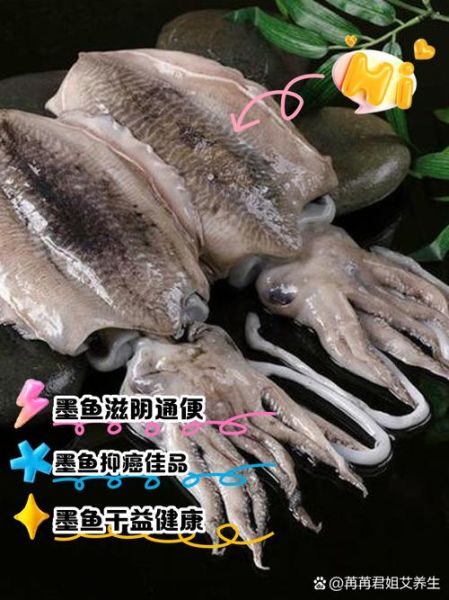 墨鱼的功效与作用_墨鱼适合什么人吃-第3张图片-山城妙识