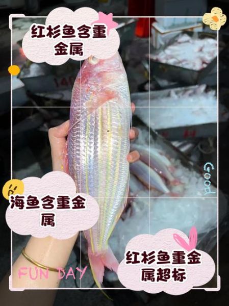 美国红鱼多少钱一斤_美国红鱼价格走势-第2张图片-山城妙识