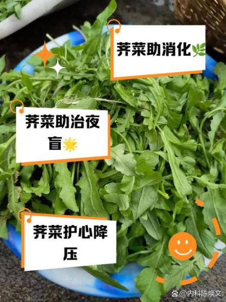 女人吃荠菜的好处_荠菜对女性的功效-第3张图片-山城妙识