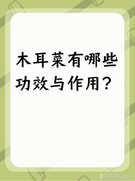 红木耳菜的功效与作用_红木耳菜怎么吃最营养-第3张图片-山城妙识