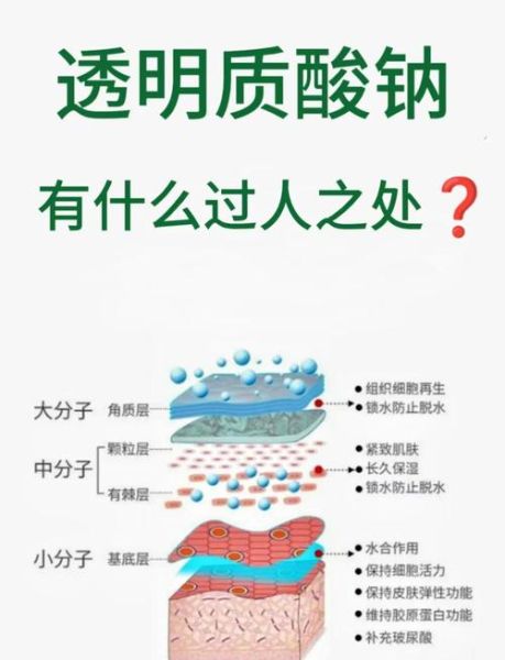 透明质酸钠对皮肤的作用_敏感肌能用吗-第1张图片-山城妙识 透明质酸钠对皮肤的作用_敏感肌能用吗-第1张图片-山城妙识
