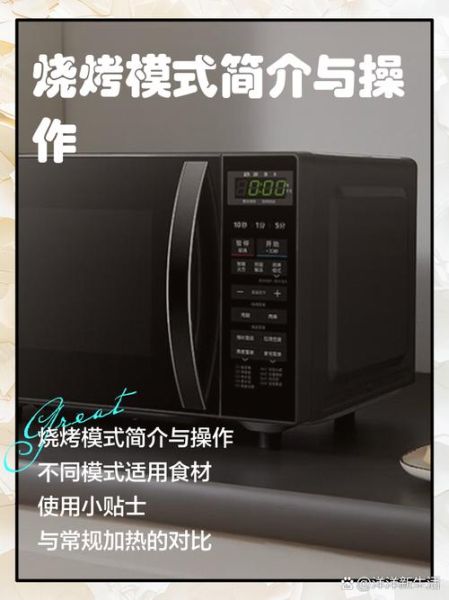 微波炉烧烤怎么做_微波炉烧烤用什么模式-第2张图片-山城妙识